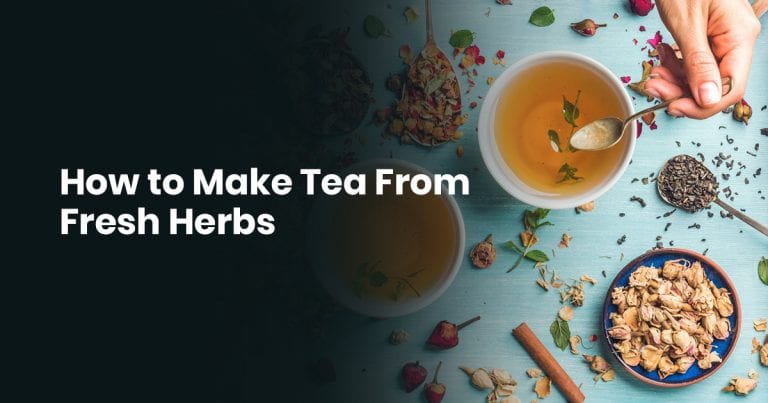How to Make Tea From Fresh Herbs » BeverageClass