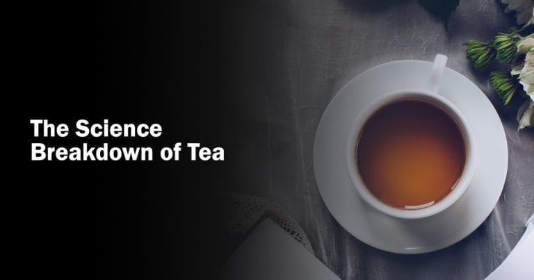 The Science Breakdown of Tea » BeverageClass